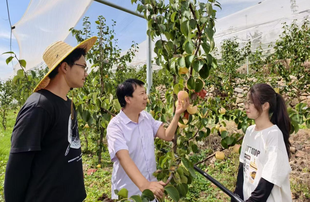 从实验室到田间地头 北农人以“科技范儿”助力绘出好“丰”景-欢迎访问北京农学院学校新闻网