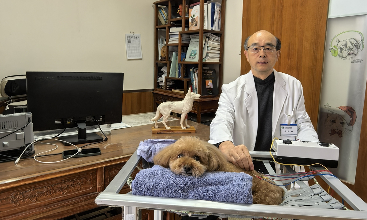 【GLOBAL TIMES】Do you know pets can also be treated with Traditional ...